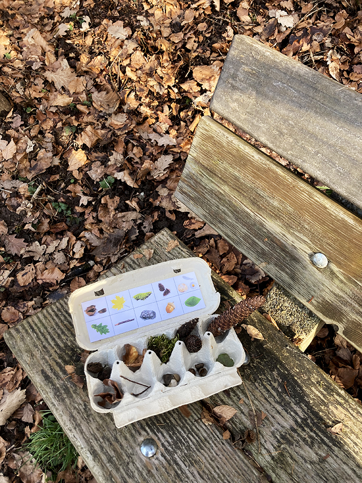 TIPP – Waldbingo mit Vorlage zum Download